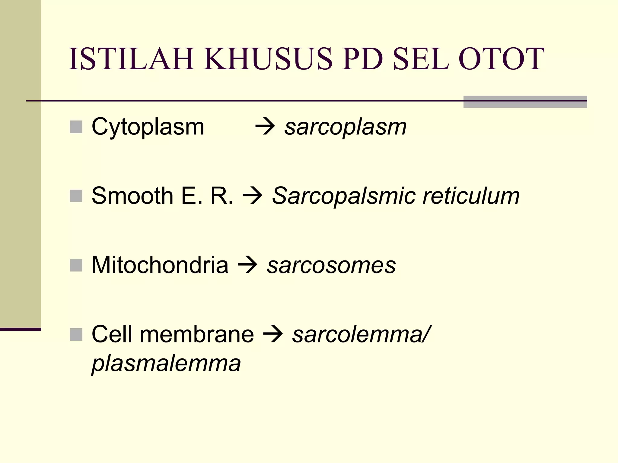 struktur histologis otot | PDF