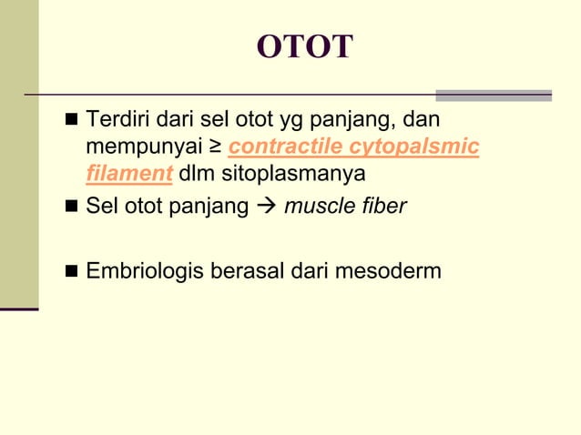 struktur histologis otot | PDF