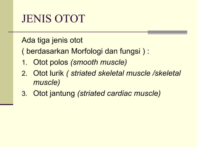 struktur histologis otot | PDF