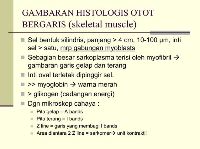 struktur histologis otot | PDF