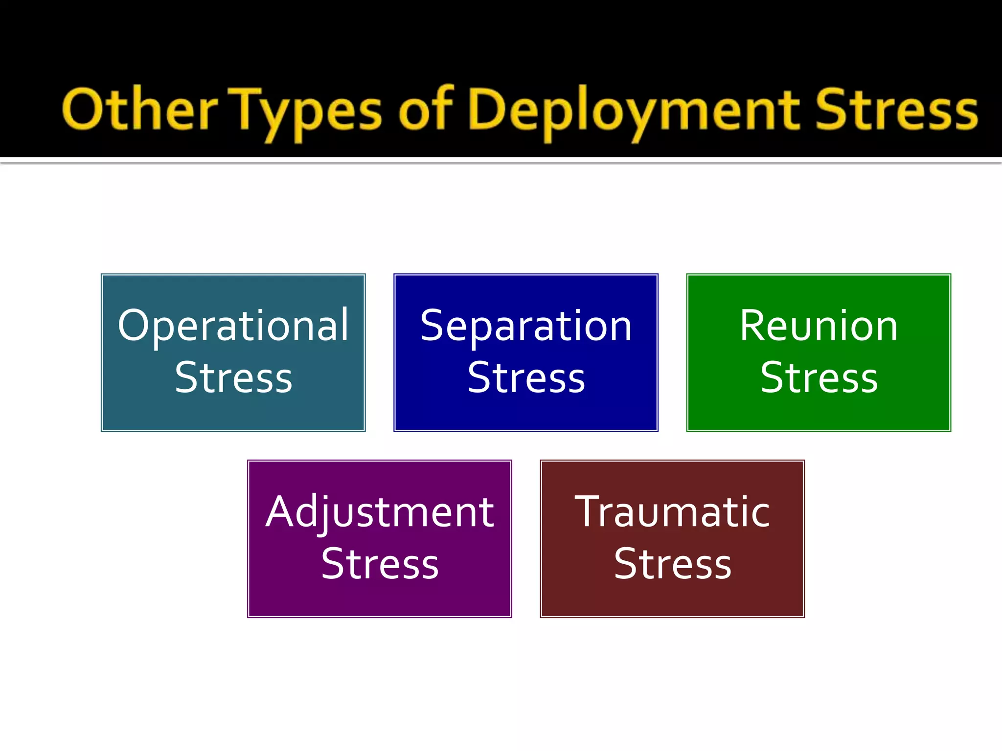 Military Culture, Mental Health and Law Enforcement | PPTX