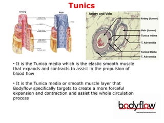 Bodyflow therapy education. | PPT