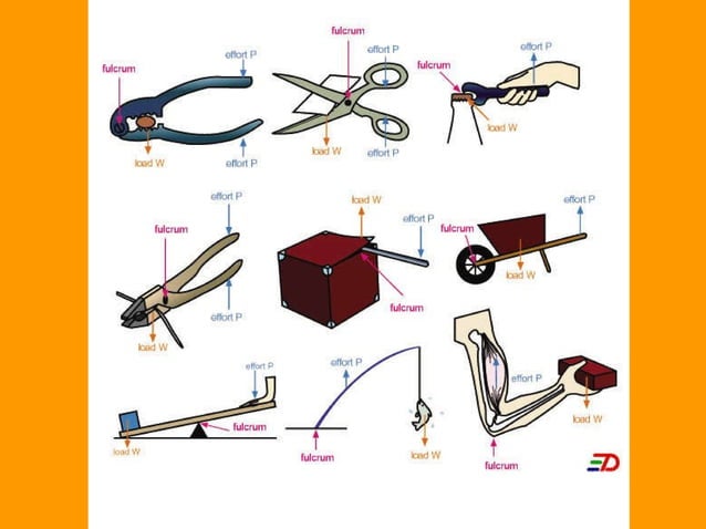 Levers | PPT