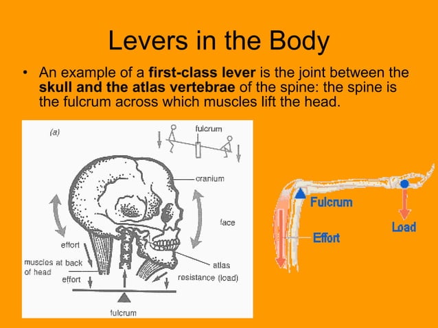 Levers | PPT