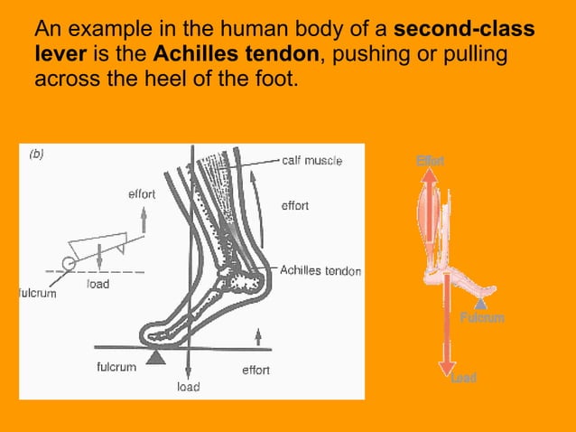 Levers | PPT