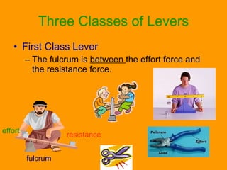 Levers | PPT