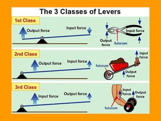 Types Of Levers