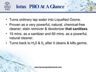 lotus PRO Intro DEC 09 | PPT | Bath and Shower | Personal Care