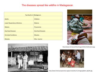 Madagascar's Reality. | PPSX | Infectious Diseases | Diseases and ...