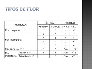 Morfología de la flor | PPT