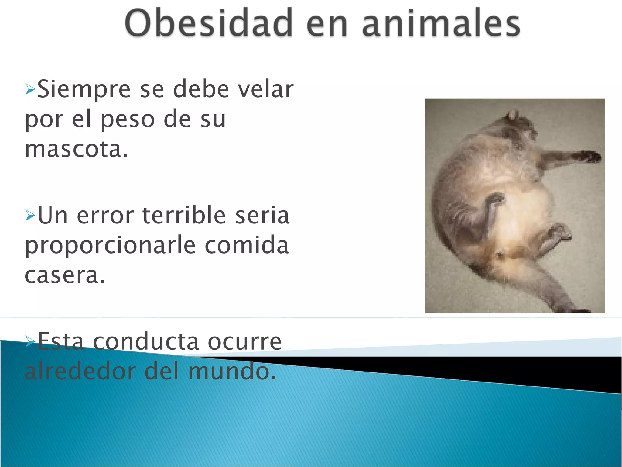 Obesidad en los animales | PPT | Veterinary Medicine | Pets