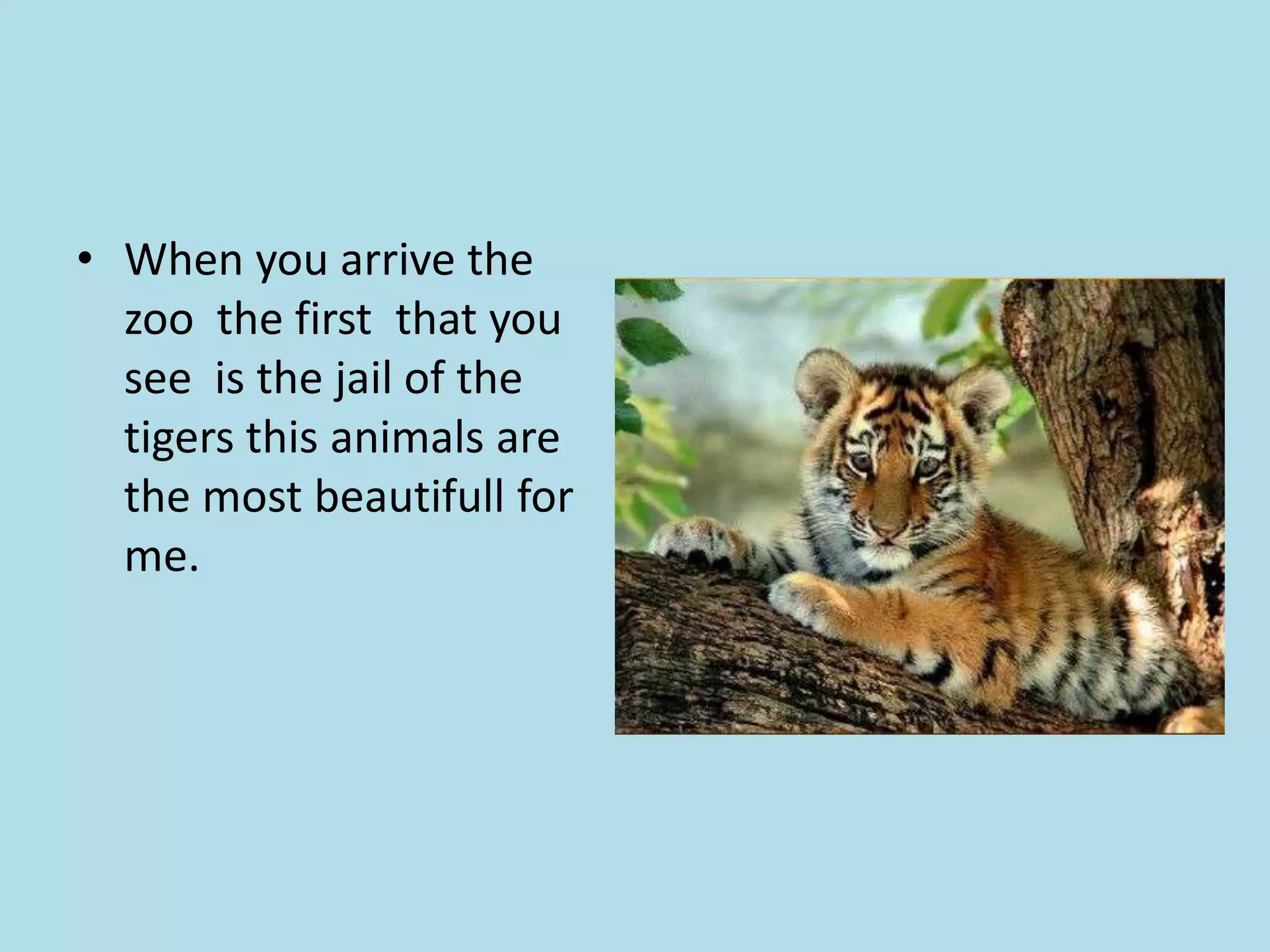 one day in the zoo | PPTX