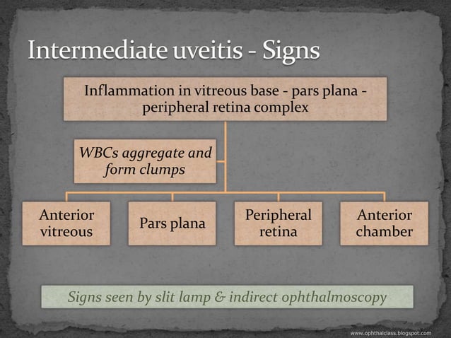 Overview of uveitis - Part2 Clinical features | PPTX