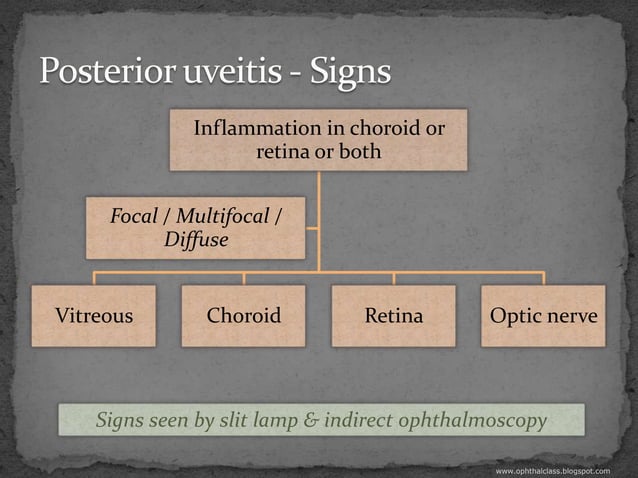 Overview of uveitis - Part2 Clinical features | PPTX