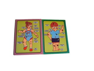 parts of the body | PPT