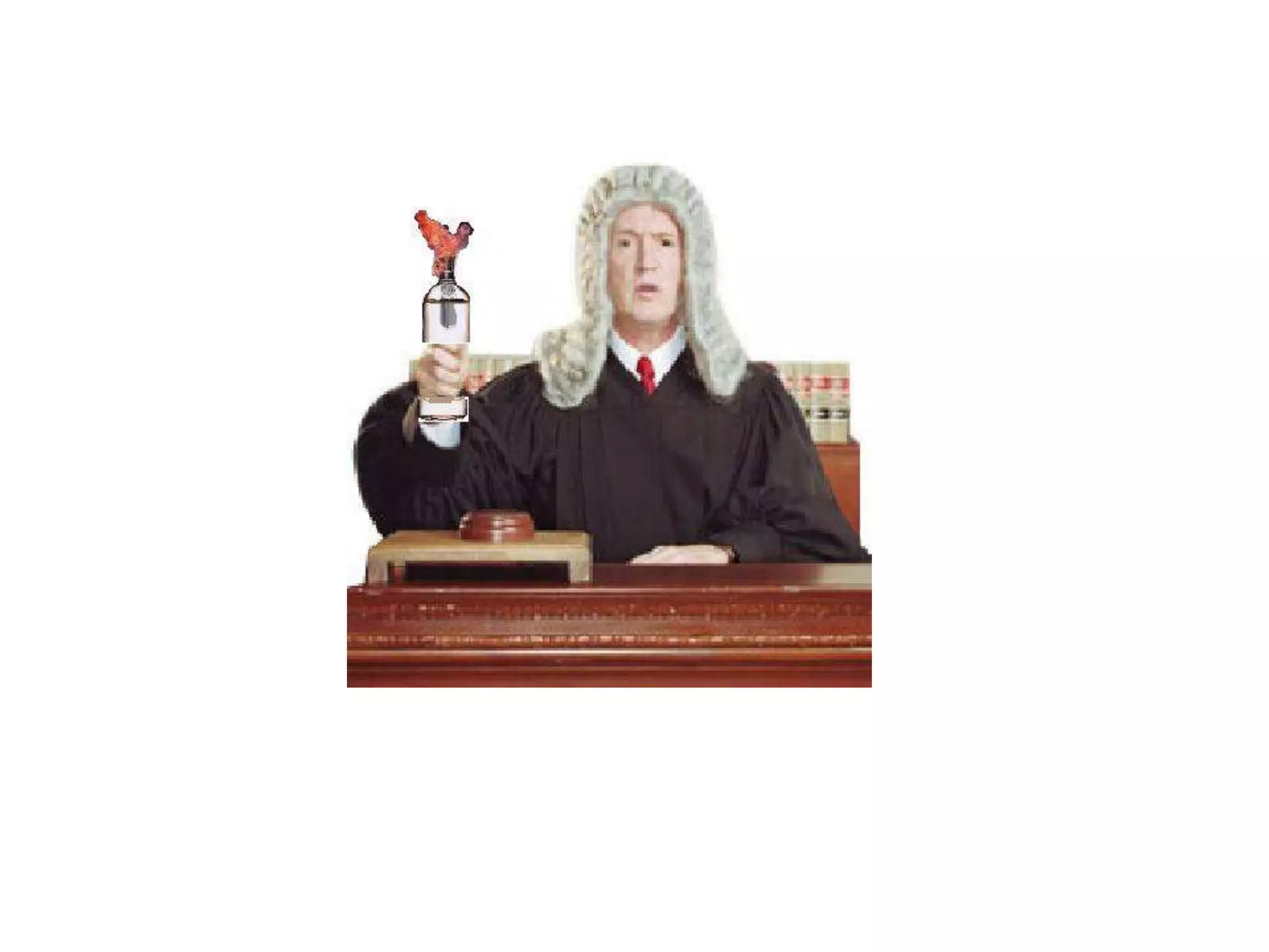 C:\Fakepath\Peregrino | PPT