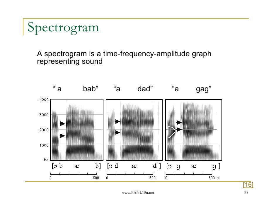 Phonetics&Phonology