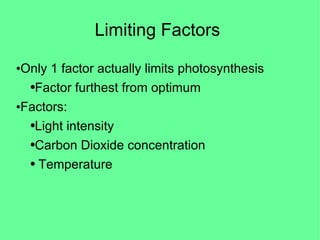 Photosynthesis | PPT
