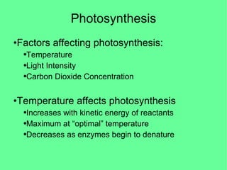 Photosynthesis | PPT