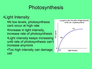 Photosynthesis | PPT