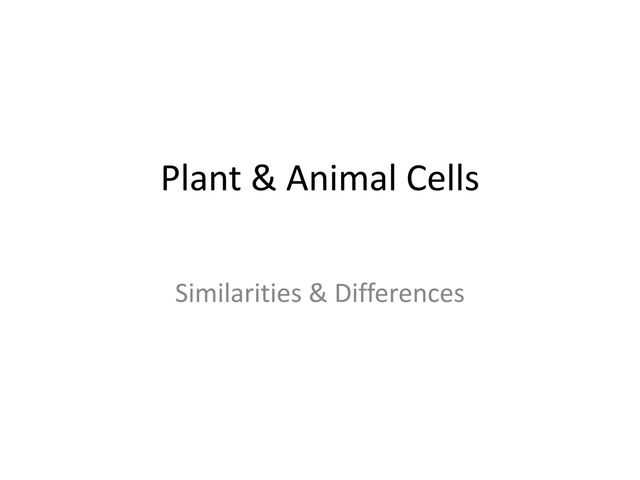 Plant and Animal Cells | PPTX