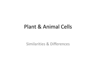 Plant and Animal Cells | PPTX