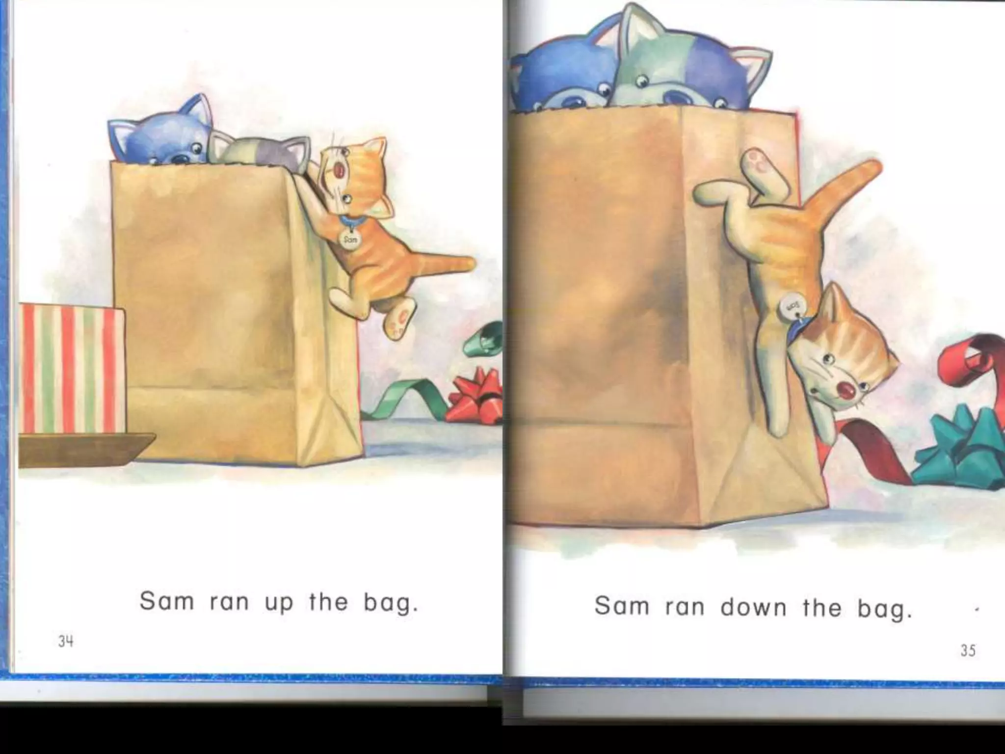 Sam and the bag | PPSX