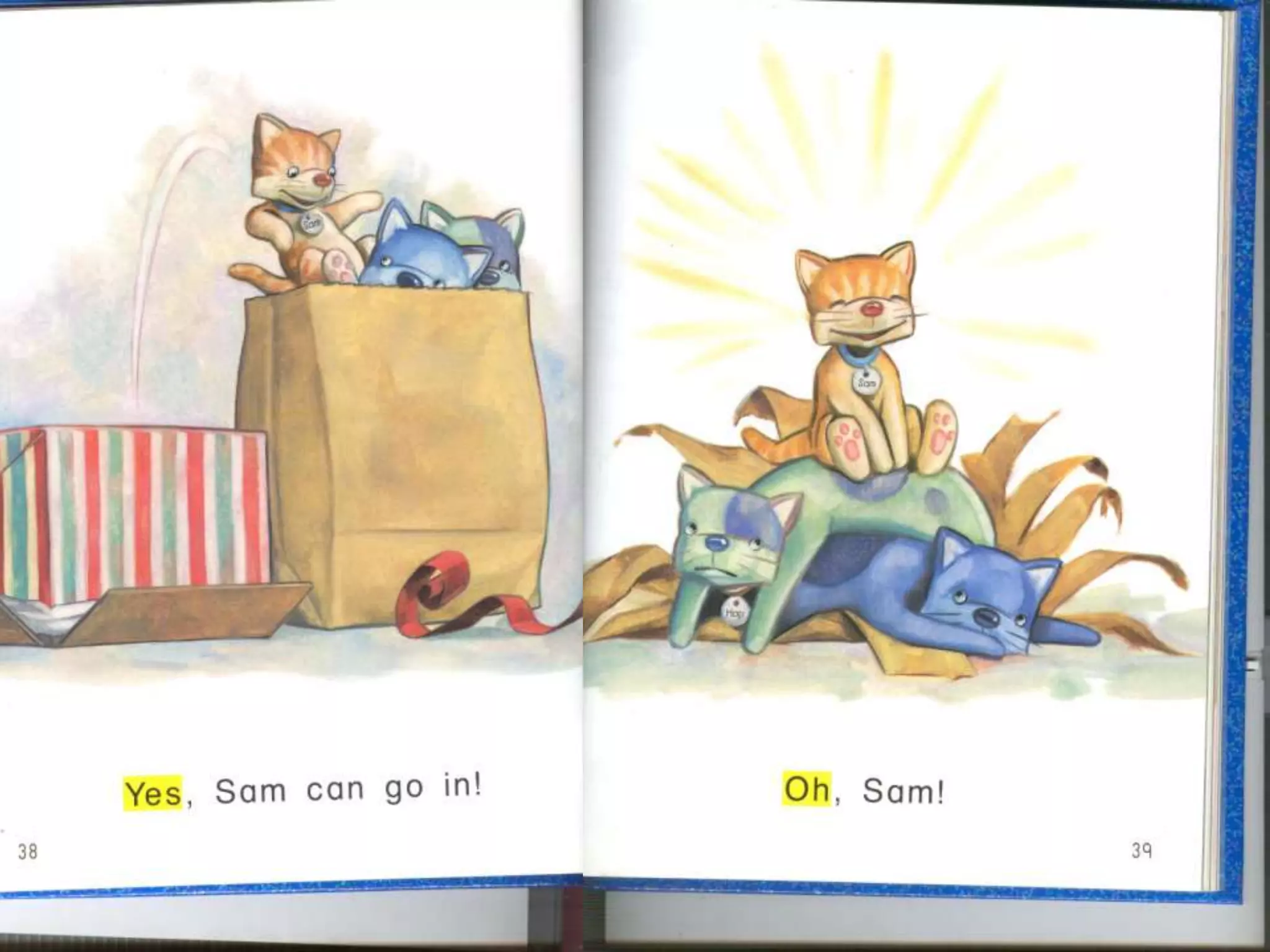 Sam and the bag | PPSX