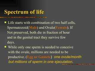 Spectrum of Life | PPT