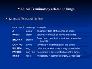 C:\fakepath\taiwo's chapter 2 presentation | PPT