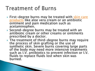 The Integumentary System | PPT