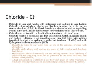 Urinary System | PPT