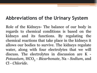 Urinary System | PPT