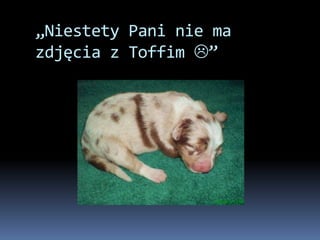 1 urodziny Britty | PPSX | Personal Celebrations & Life Events