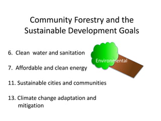 Community Forestry and the Sustainable Development Goals | PPT