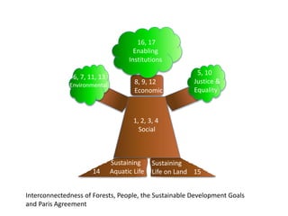 Community Forestry and the Sustainable Development Goals | PPT