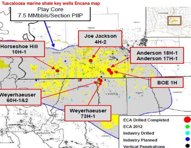 Tuscaloosa marine shale play.ppt