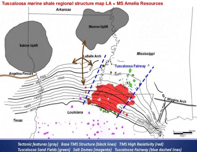 Tuscaloosa marine shale play.ppt