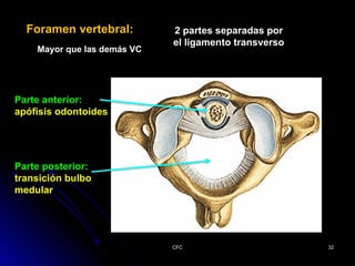 CFC - COLUMNA VERTEBRAL - ANATOMIA HUMANA.pptx