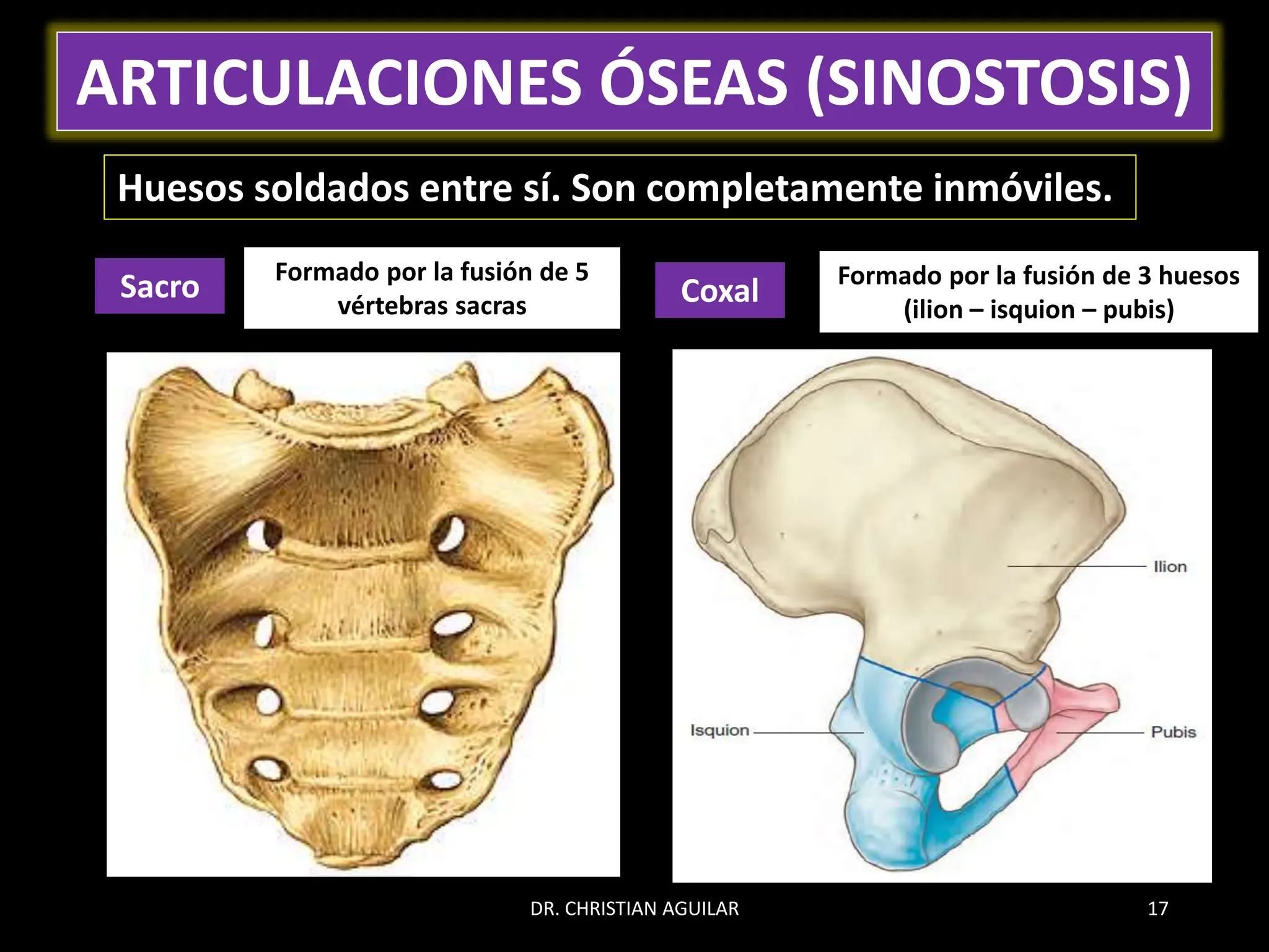 GENERALIDADES ARTICULAÇÕES ANATOMICAS MEDICA | PPTX
