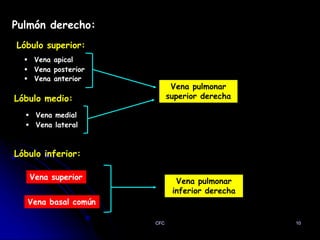 CFC - PULMONES 21.pptx anatomía medica.. | PPTX