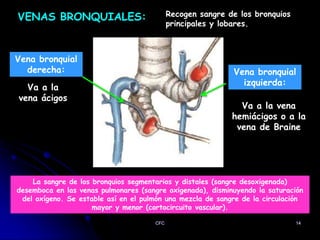 CFC - PULMONES 21.pptx anatomía medica.. | PPTX