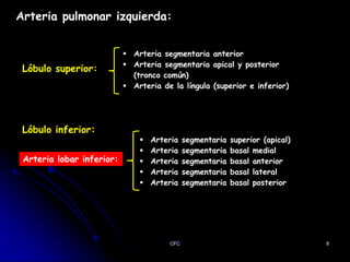 CFC - PULMONES 21.pptx anatomía medica.. | PPTX