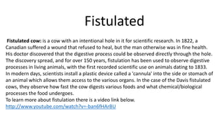 Cf cattle bio_div | PPTX