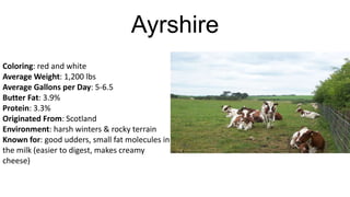 Cf cattle bio_div | PPTX