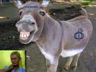 Cfc clp talk 11 | PPT