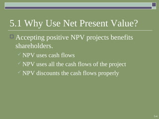 Net Present Value and Other Investment Rules | PDF