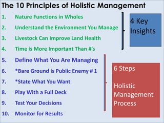 Welcome to Holisitc Management! | PPT