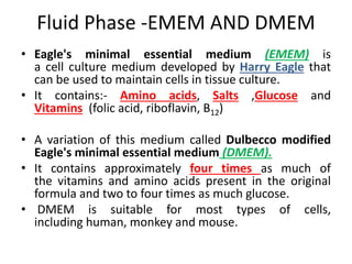 Cfd analysis of scaffold | PPTX