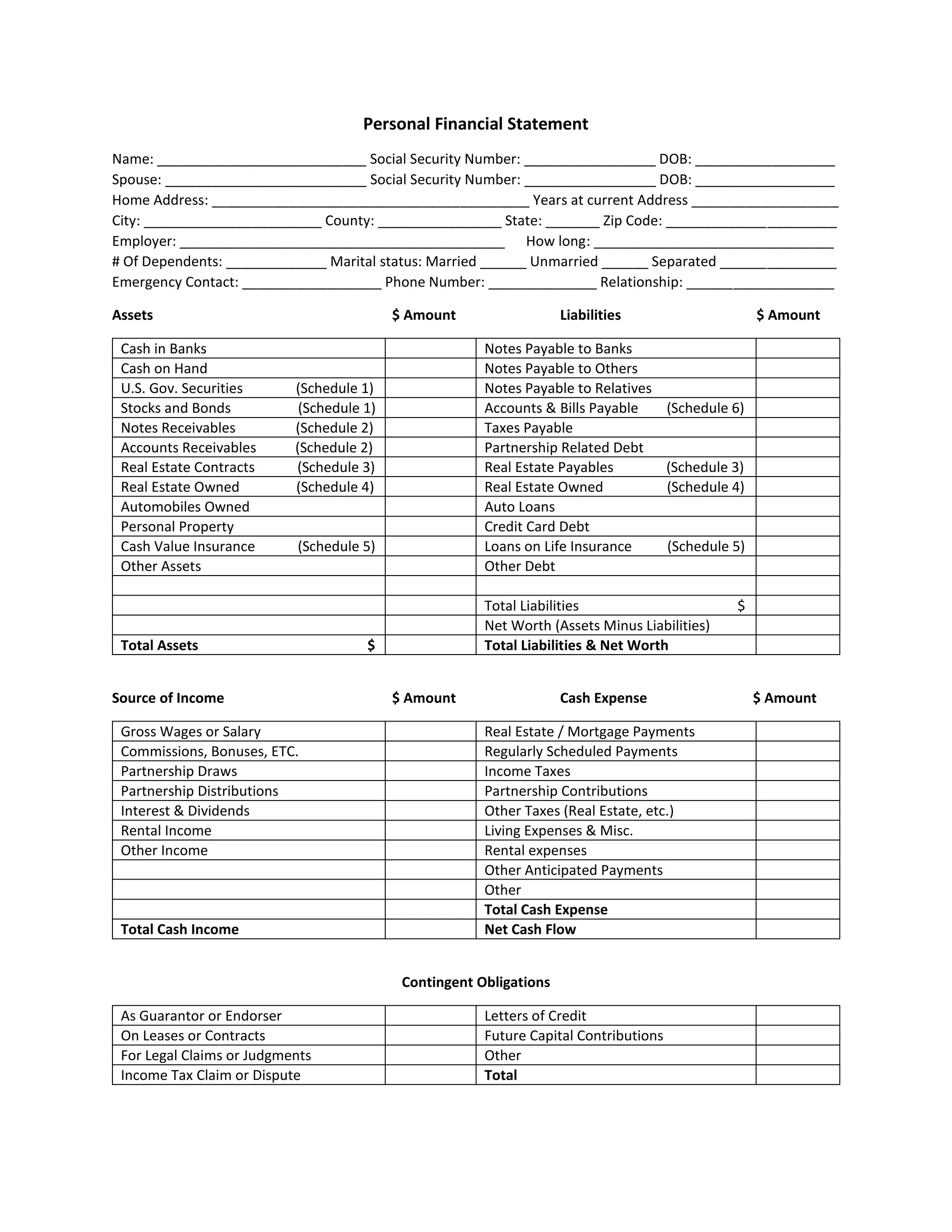 Personal Financial Statement | PDF